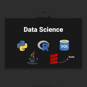 Top programming languages in each Field